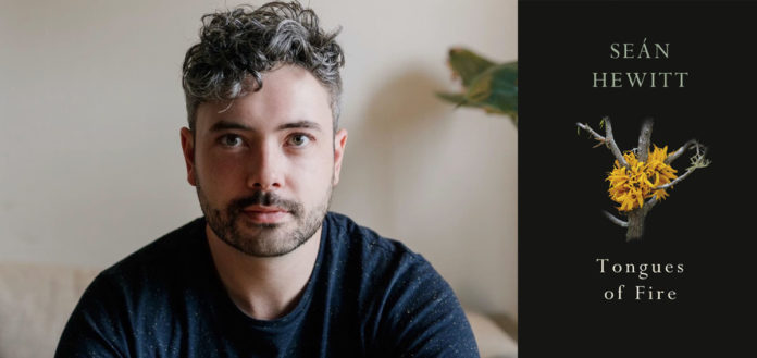 Interview | Seán Hewitt on Tongues of Fire, the Androgynous Lyric and ...
